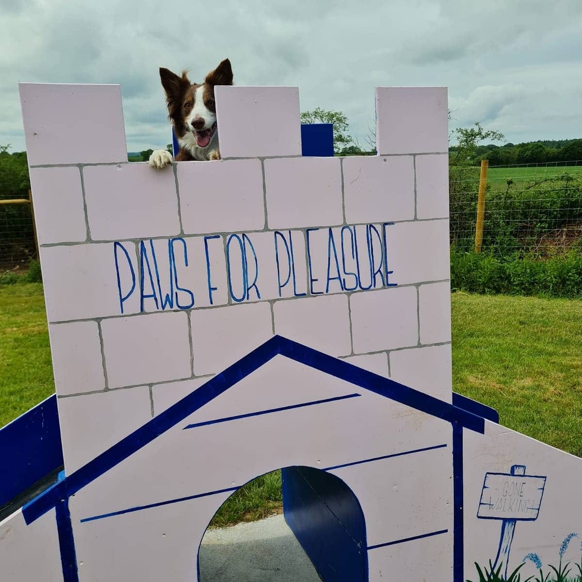 Paws For Pleasure | Secure Dog Exercising, Exeter, Crediton and Tiverton